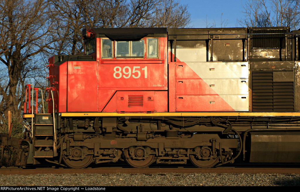 CN 8951